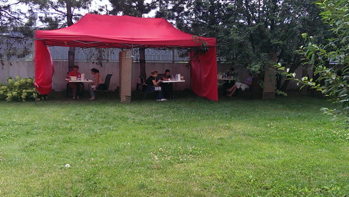 О компании - ALVIN MARKET - Нестандартные маркетинговые исследования